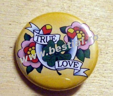 Insigna Sunny Buick Model 4 - Bestial.ro